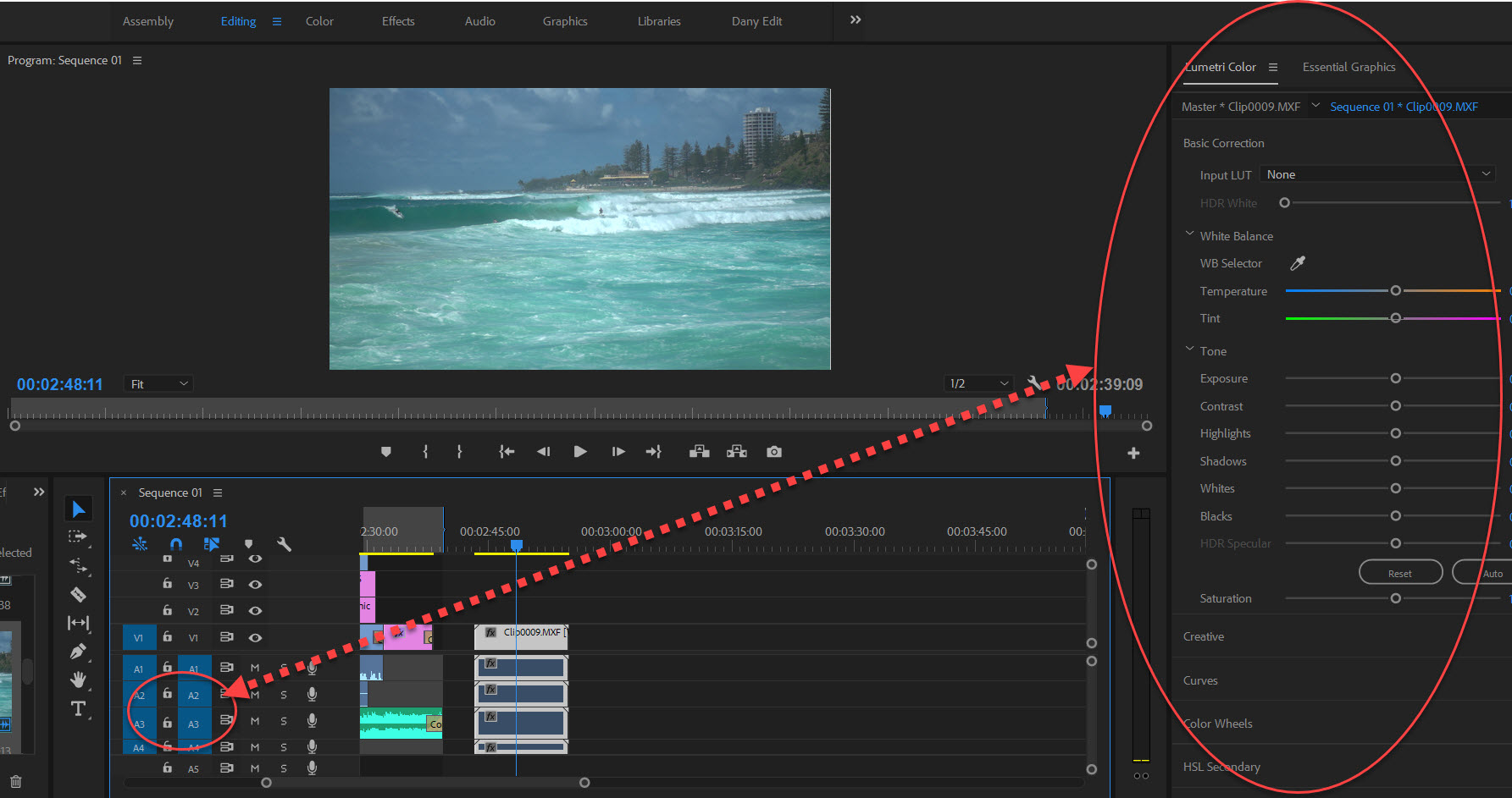 QUICK FIX no multiple Clips Selected Lumetri Color Adobe Premiere